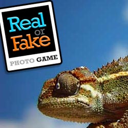 REAL OR FAKE Photo Game » Juego GRATIS en jugarmania.com